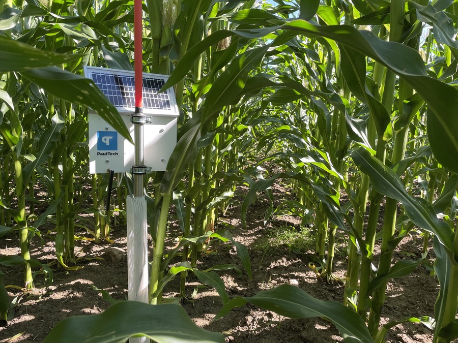 The UK farmer’s guide to effective cover cropping - Paul-Tech