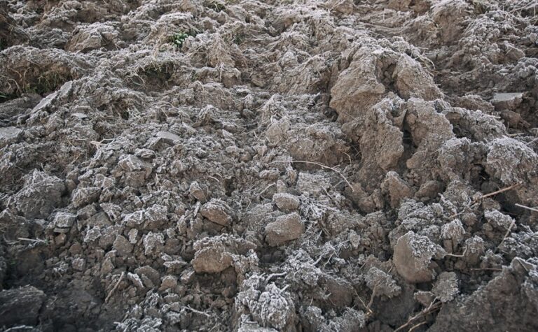 What Happens to Agricultural Soils in Winter - Paul-Tech